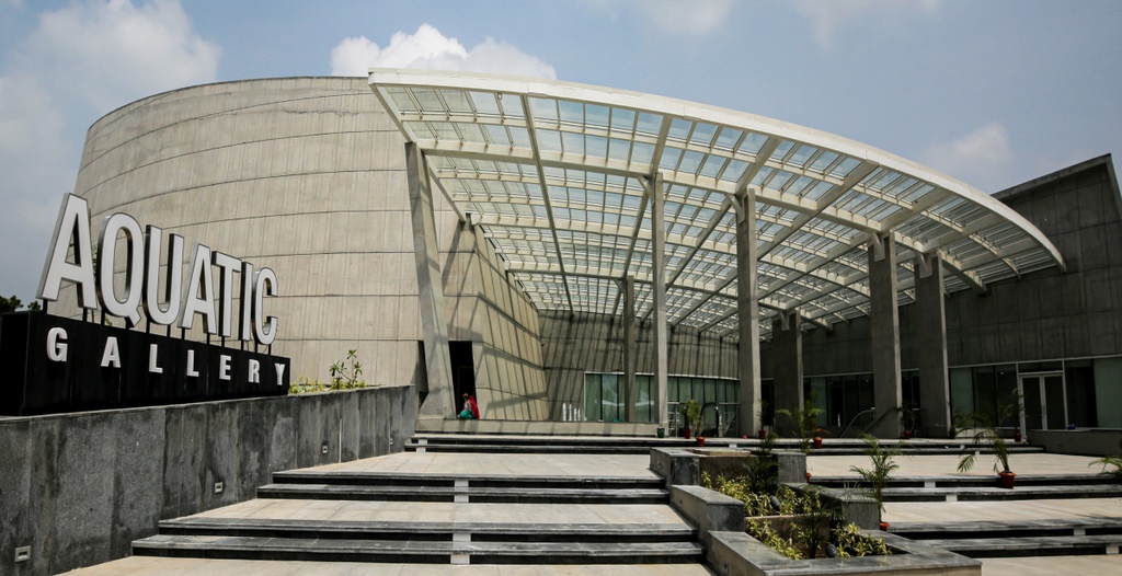 Aquatic Gallery | GCSC